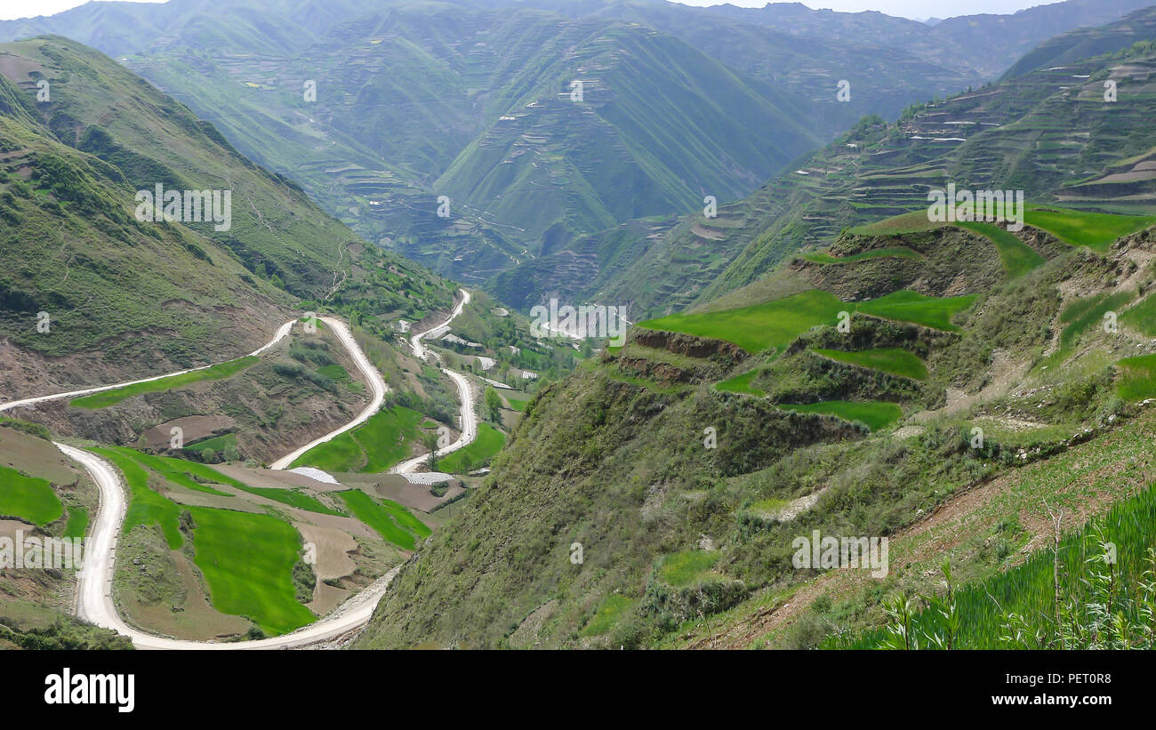 A Large Area of Terraces Stock Photo - Alamy