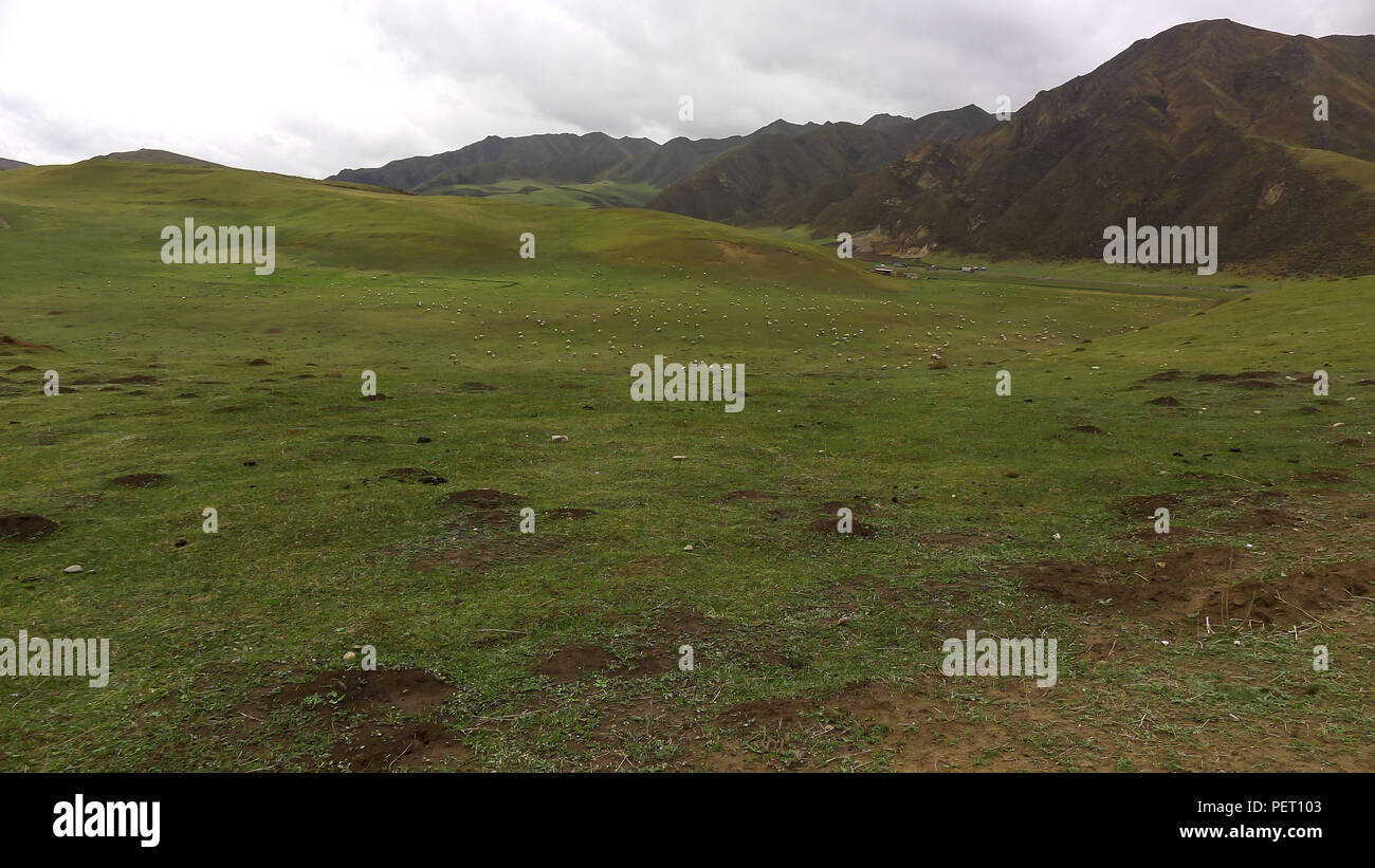 A Large Area of Grassland Stock Photo - Alamy