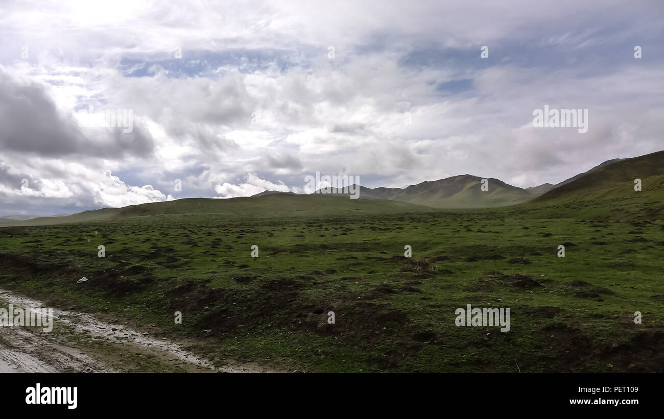 A Large Area of Grassland Stock Photo - Alamy
