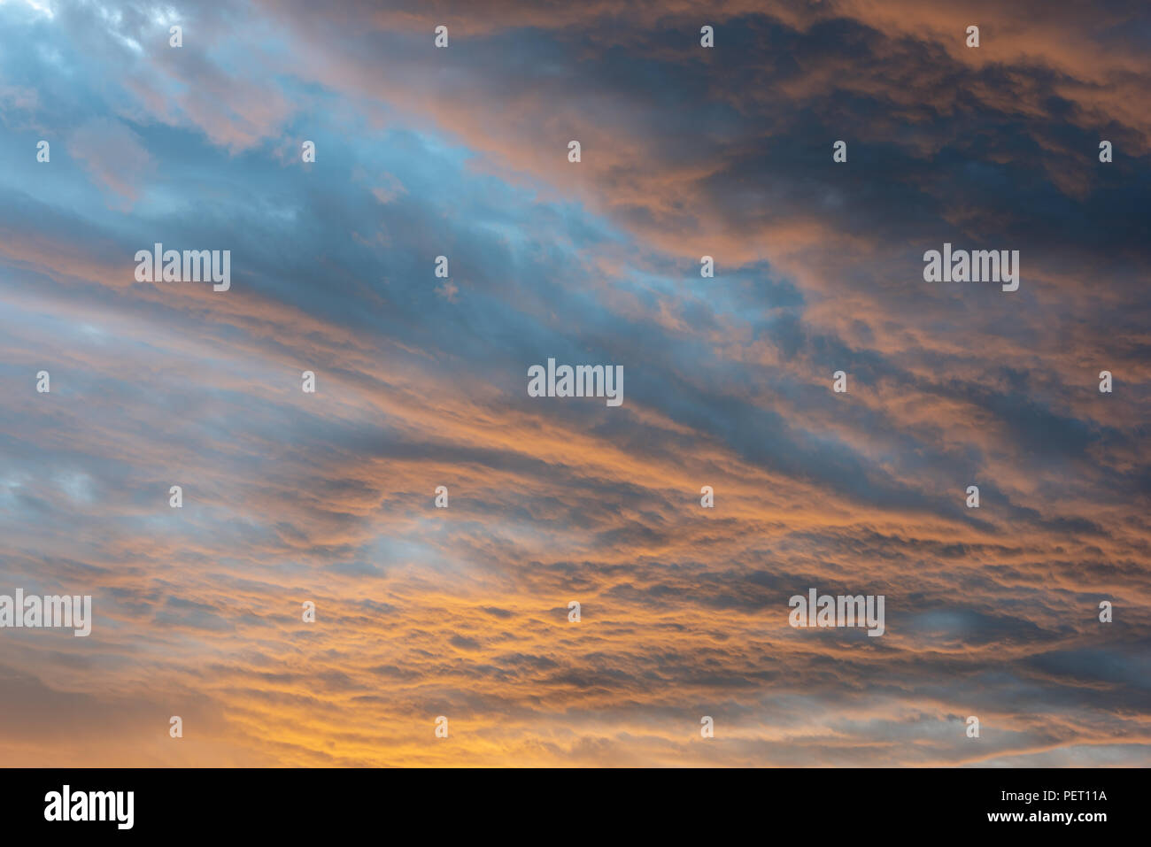 African sunset wallpaper hi-res stock photography and images - Alamy