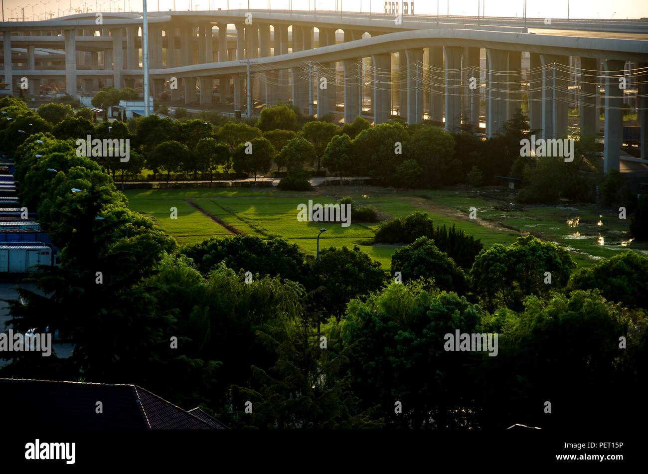 View of Overpass in the City and Surrounding Environment Stock Photo ...