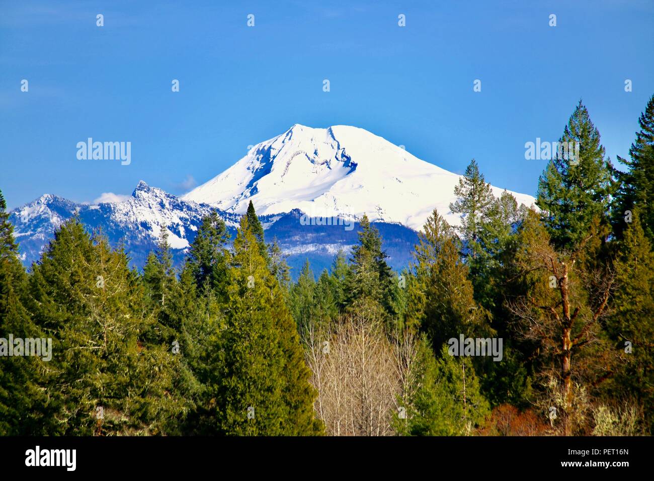 Evergreen mountain forest hi-res stock photography and images - Alamy