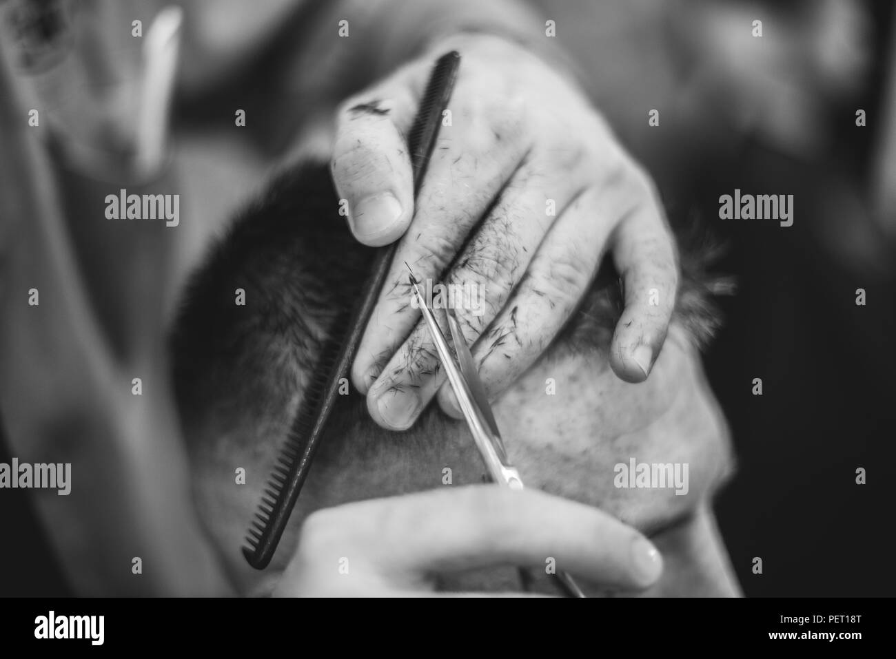 Mens beauty salon haircut Black and White Stock Photos & Images - Alamy