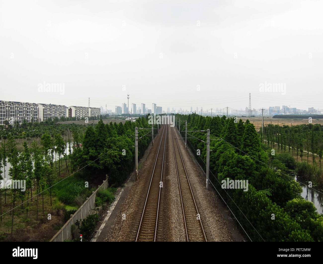 A Railway Line and Rows of Trees Stock Photo - Alamy
