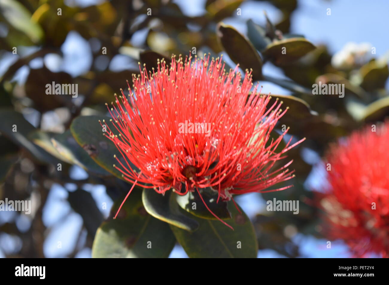 Sky adventures hi-res stock photography and images - Alamy