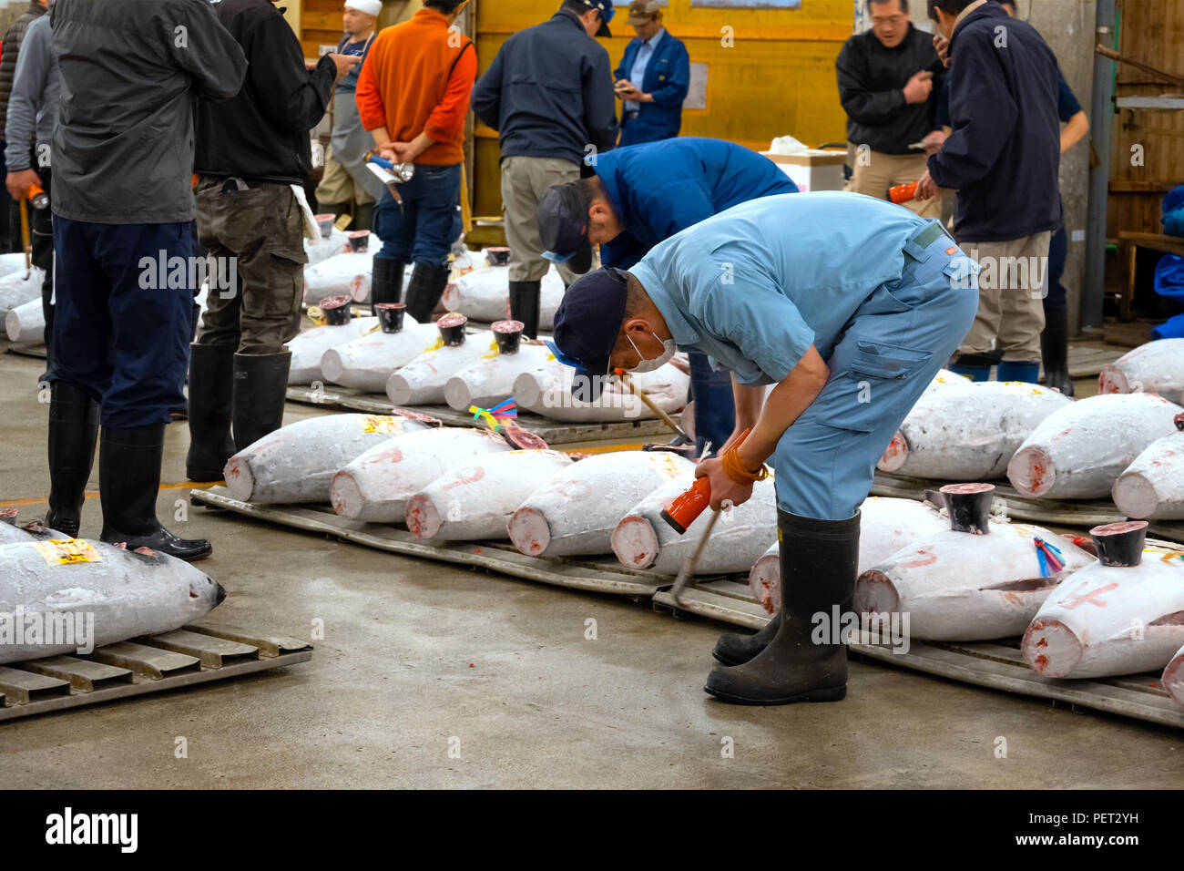 TOKYO, JAPAN - APRIL 26 2018: The auction at the inner area of Tsukiji ...