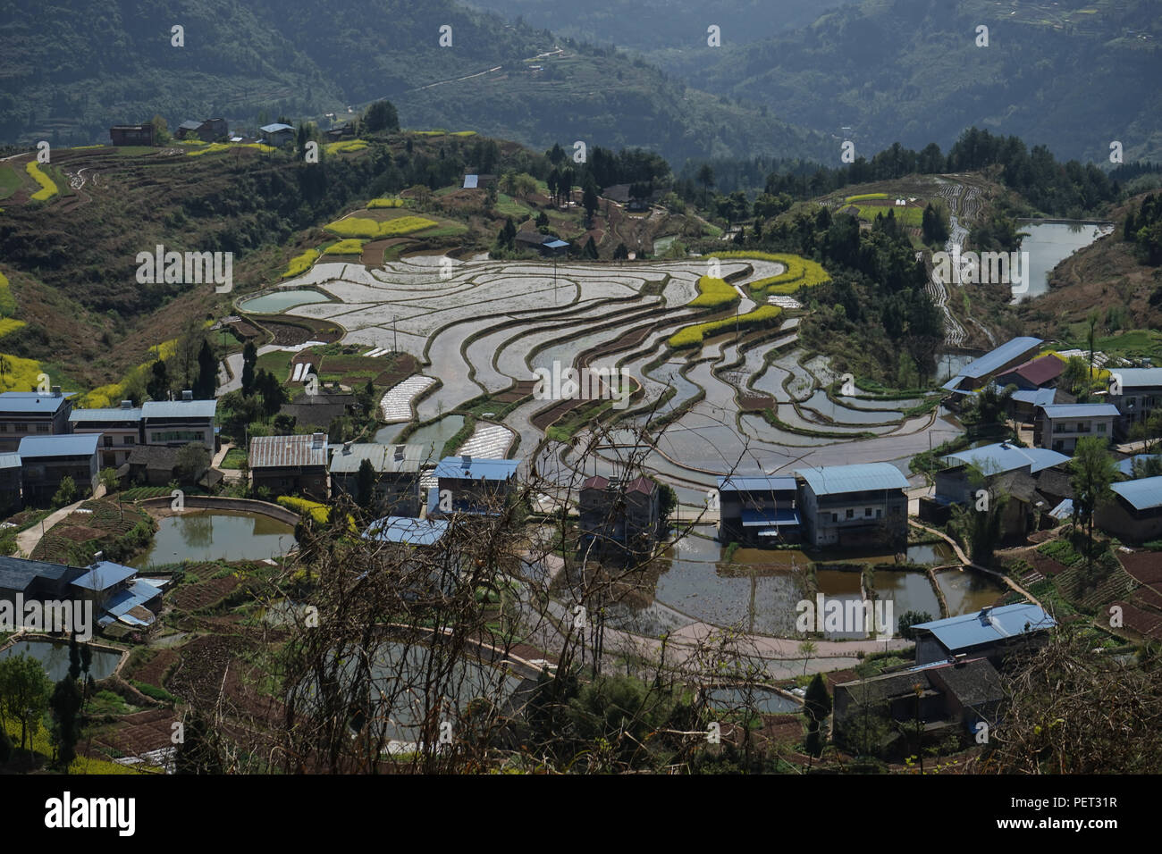 Terraces in China Stock Photo - Alamy