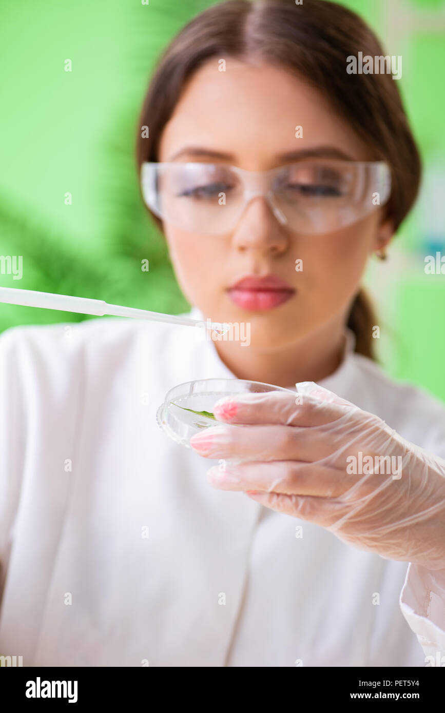 Beautiful female biotechnology scientist chemist working in lab Stock ...