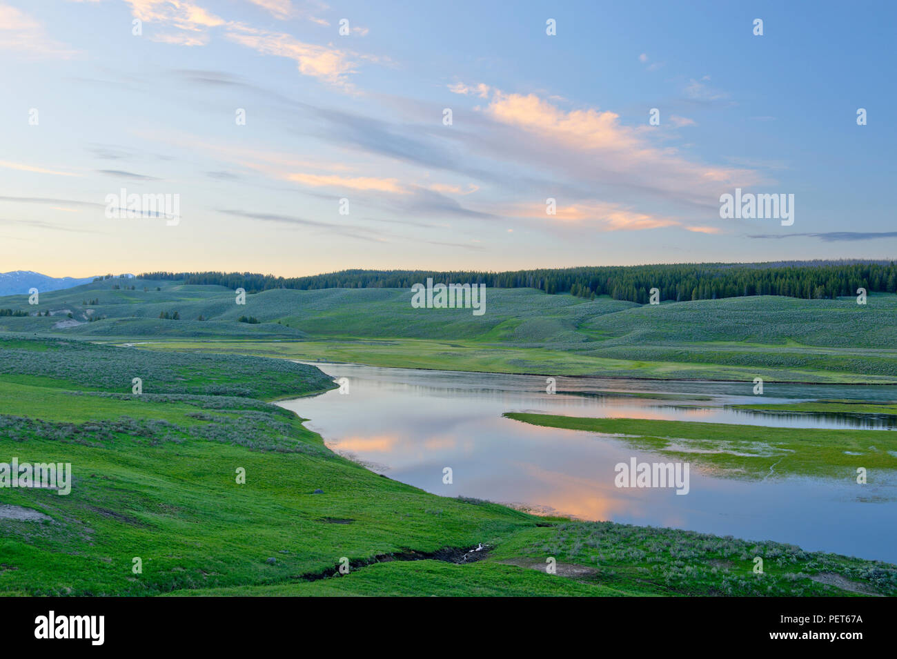 Hayden Valley, Yellowstone National Park, Wyoming, USA Stock Photo - Alamy