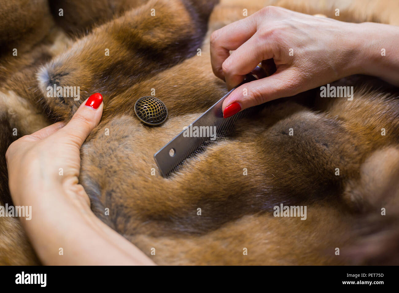 Professional tailor, designer combing fur coat at atelier, studio ...