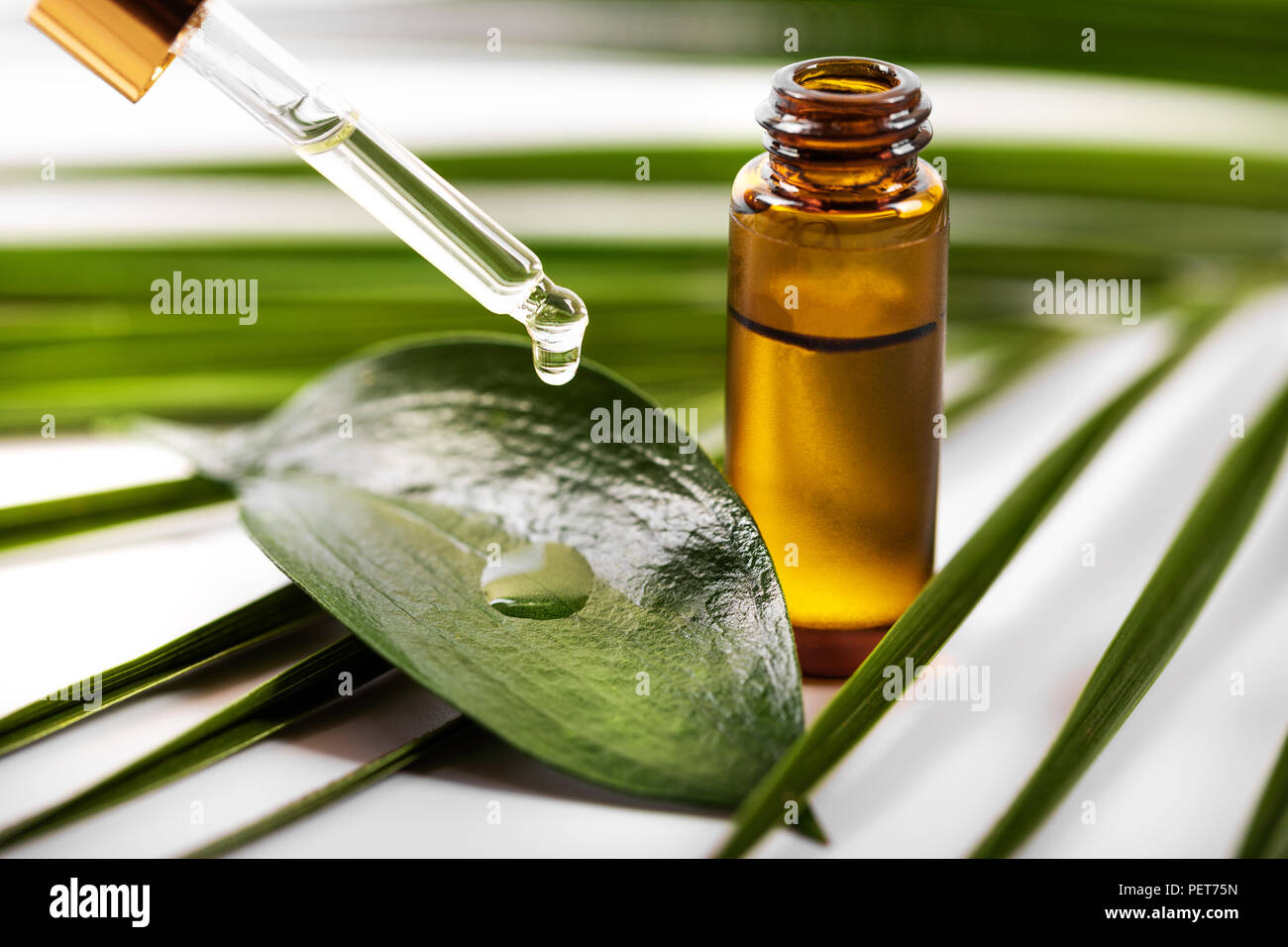 Drip medicine from pipette on hi-res stock photography and images - Alamy