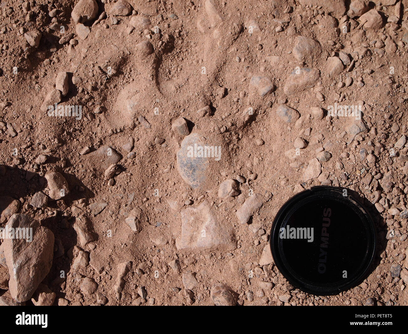 The leopards range of distribution hi-res stock photography and images ...