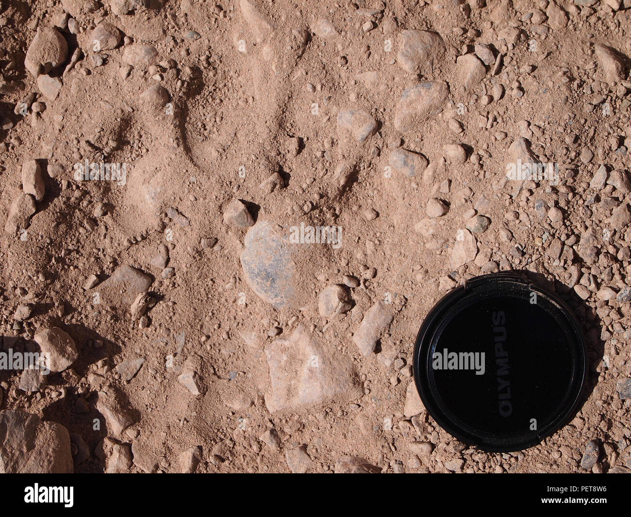 Footprints leopard hi-res stock photography and images - Alamy