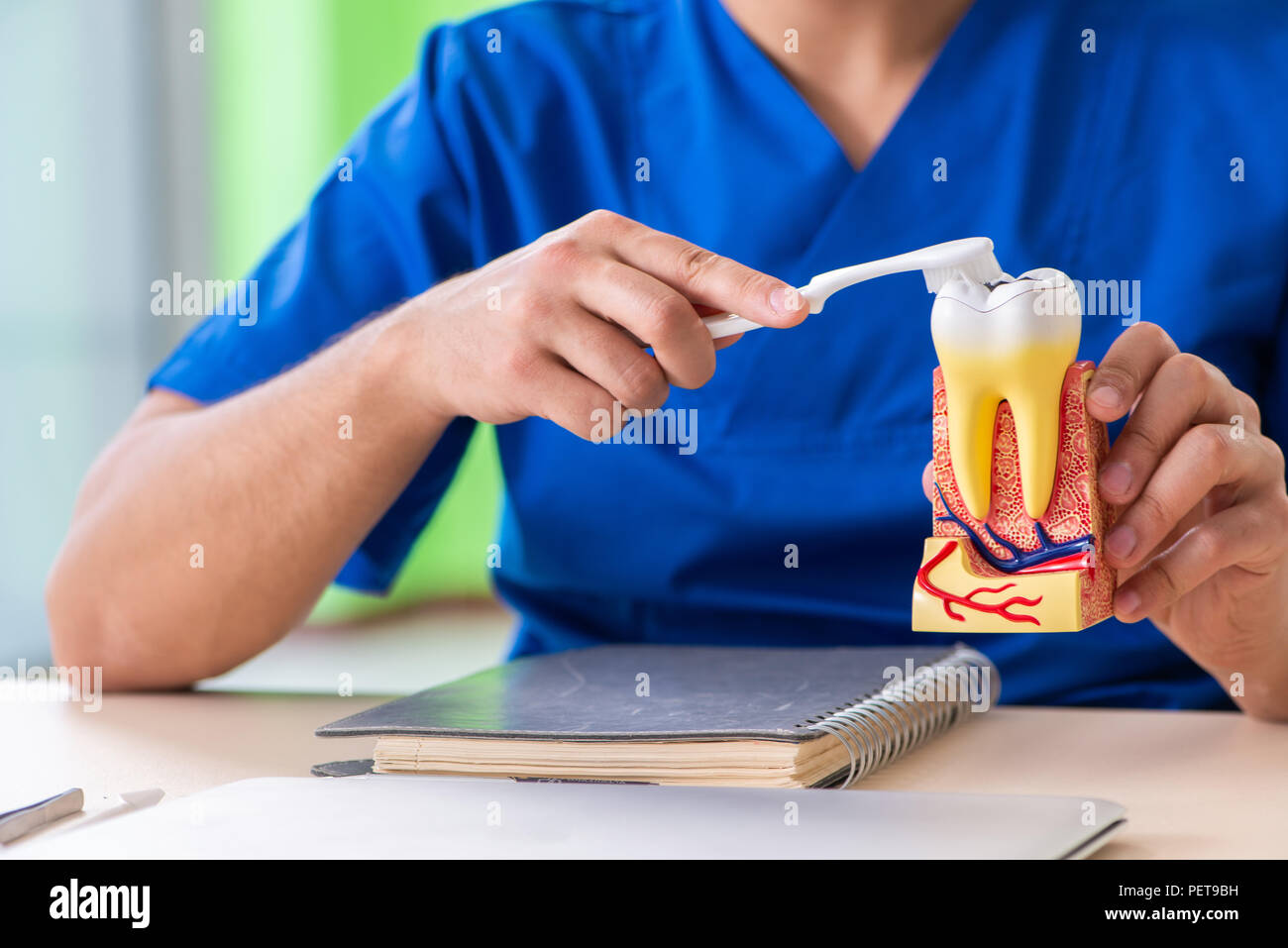 Young dentist practicing work on tooth model Stock Photo - Alamy