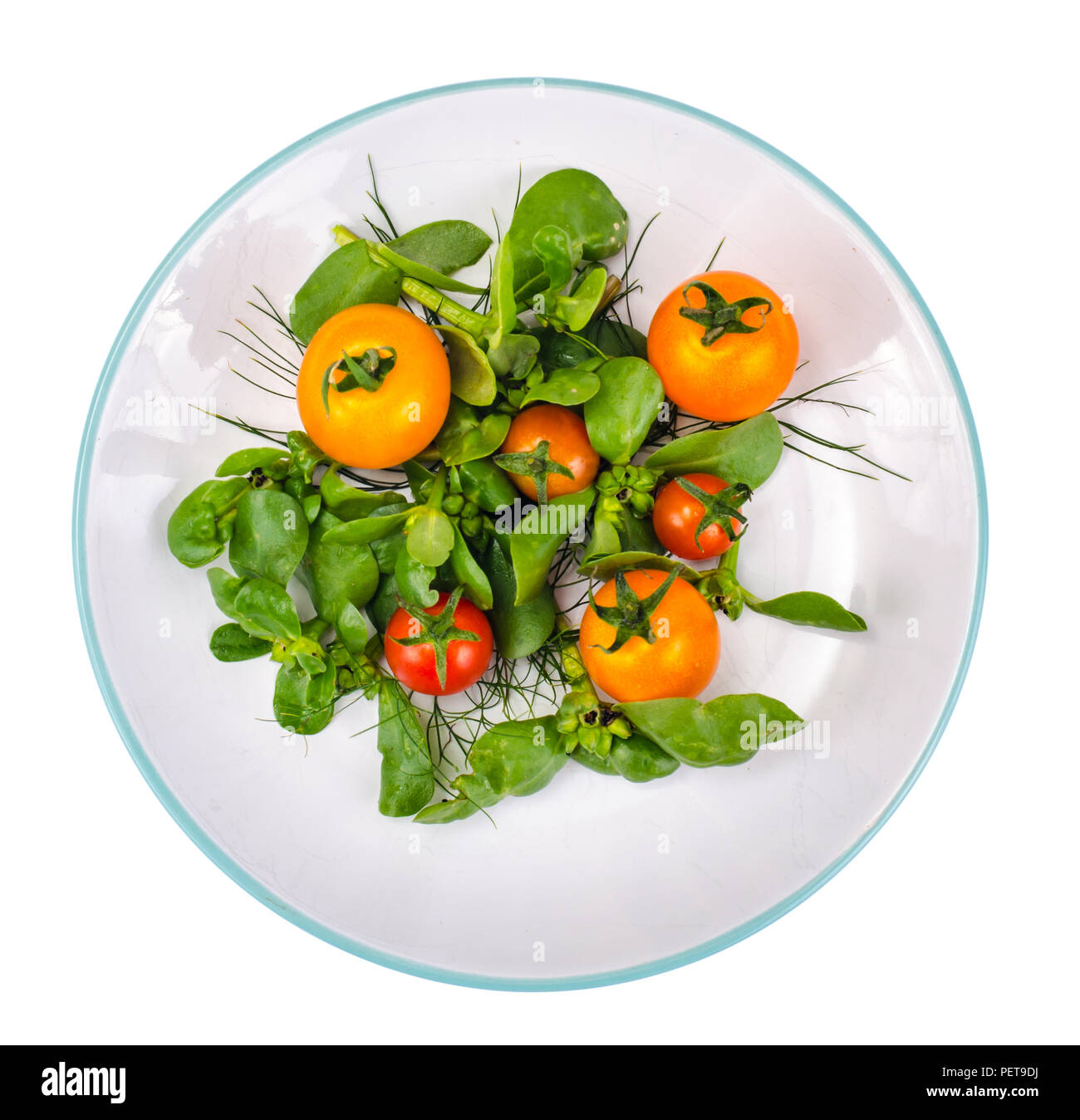 Dishes with Portulaca oleracea. Studio Photo Stock Photo - Alamy
