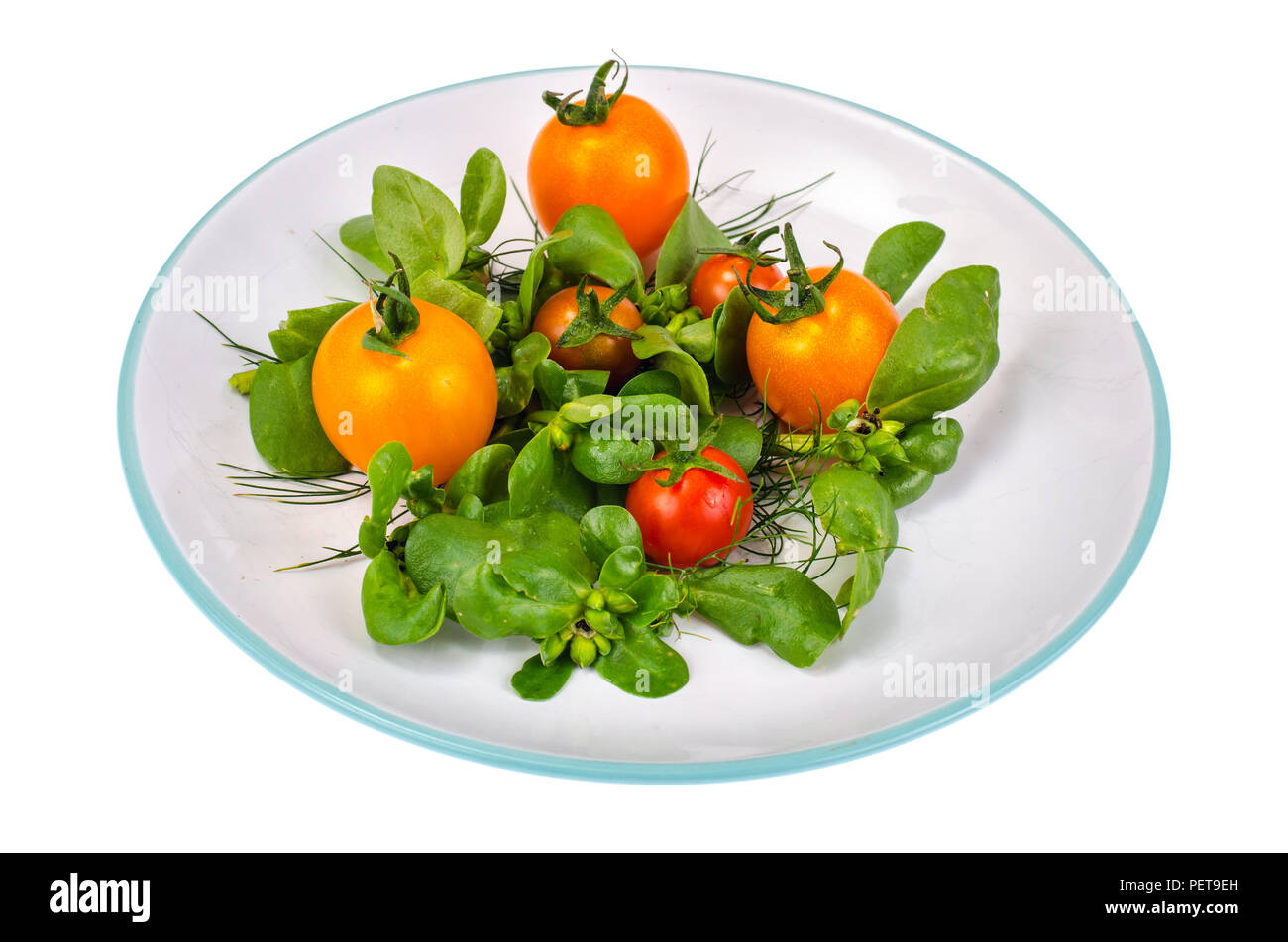 Dishes with Portulaca oleracea. Studio Photo Stock Photo - Alamy