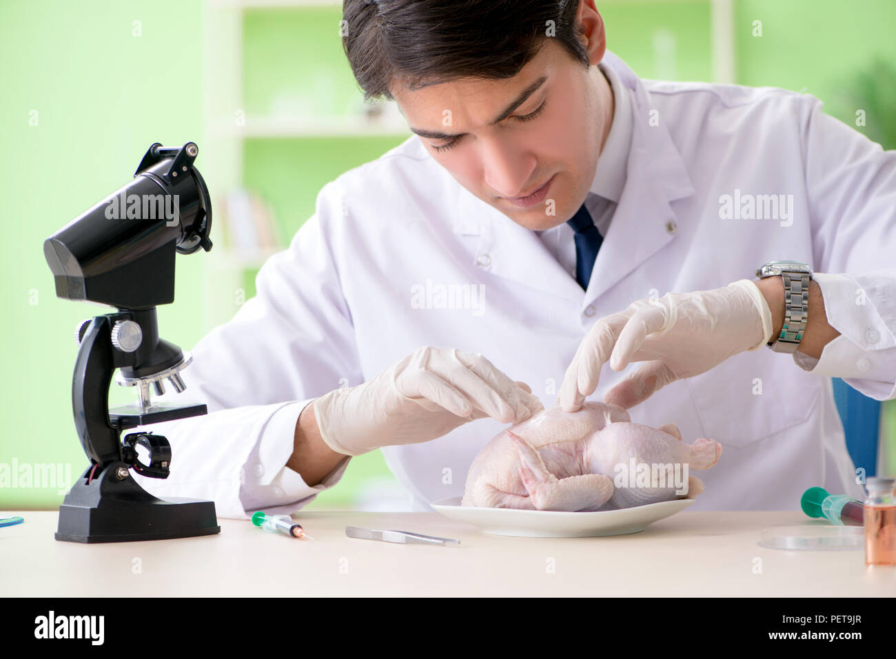 Lab assistant testing GMO chicken Stock Photo - Alamy