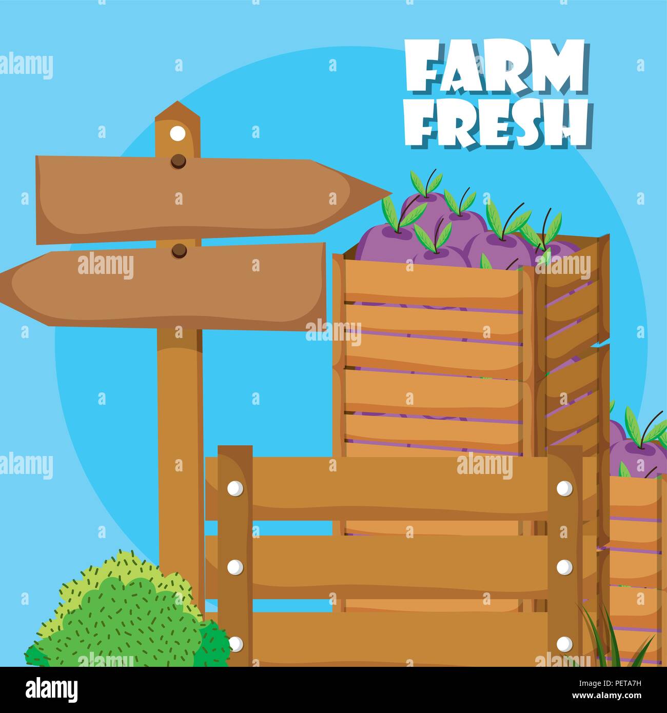 Farmer harvest boxes Stock Vector Images - Alamy