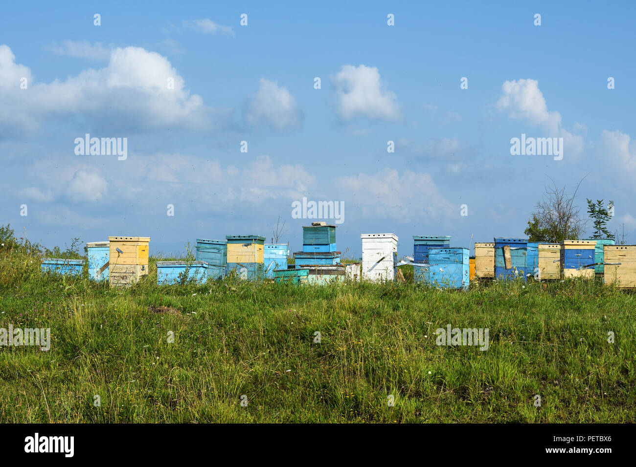 Beehives on meadow hi-res stock photography and images - Alamy