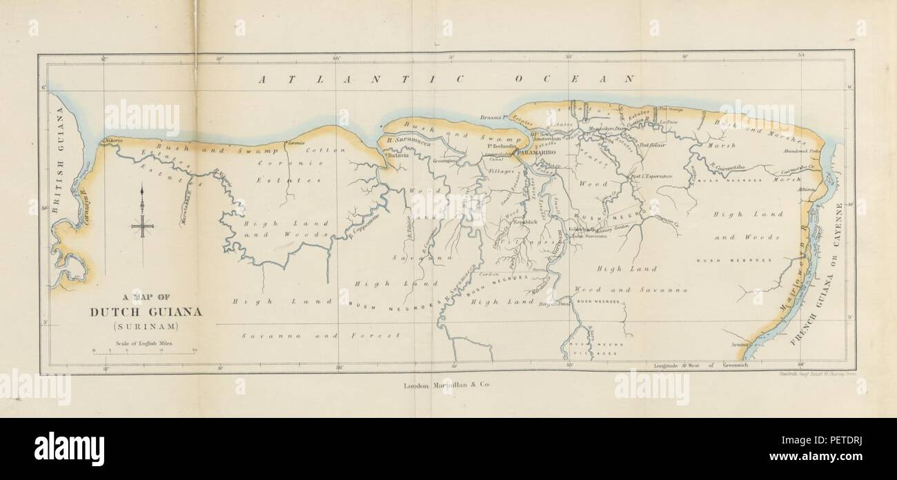 Historic archive Image taken from page 8 of 'Dutch Guiana. ... With ...