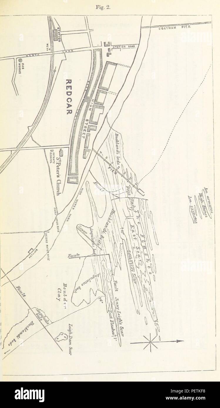 Historic archive Image taken from page 75 of 'The Yorkshire Lias. [With ...