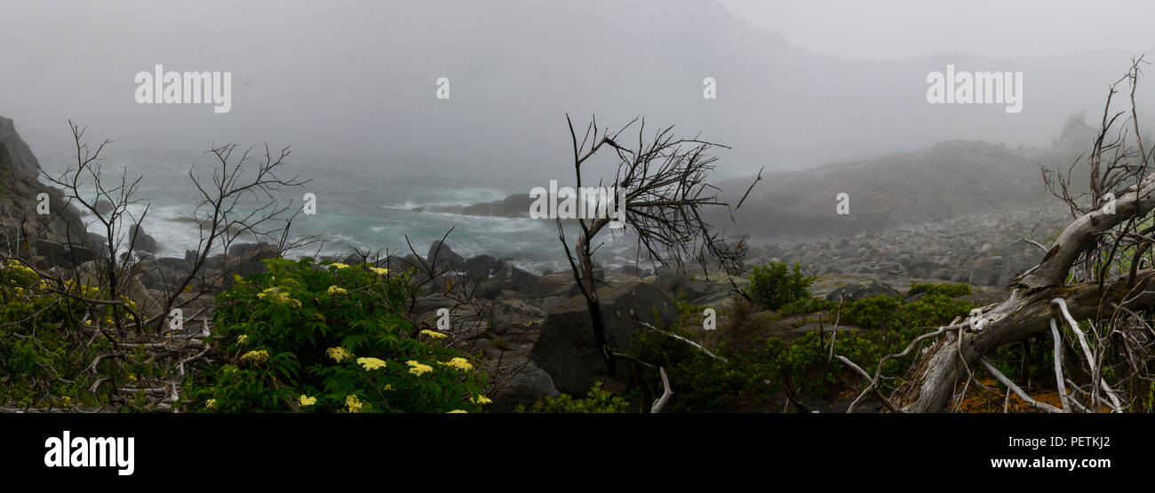 Monhegan hi-res stock photography and images - Alamy
