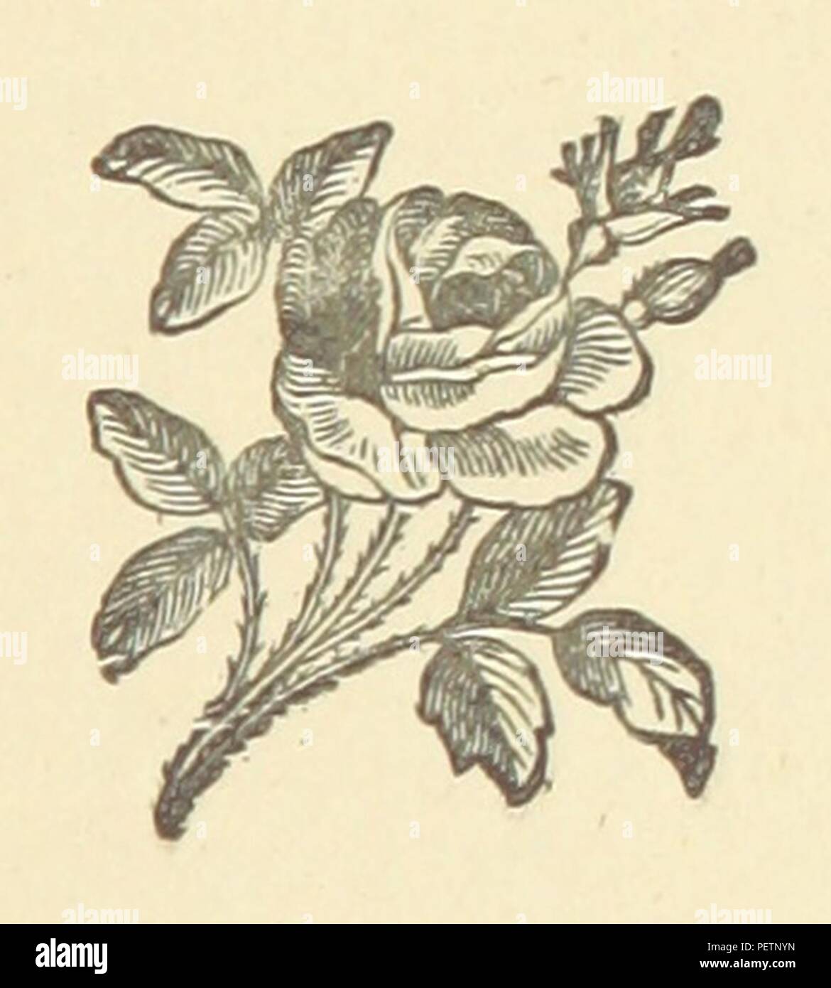 Historic archive Image taken from page 127 of 'Cupid's Curse, and other ...