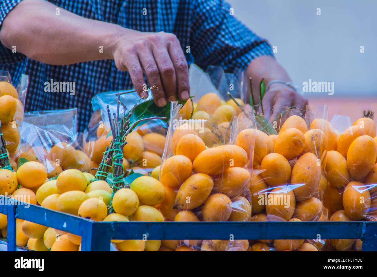 Plango fruit or Marian Plum, famous tropical fruit in Thailand for sale ...
