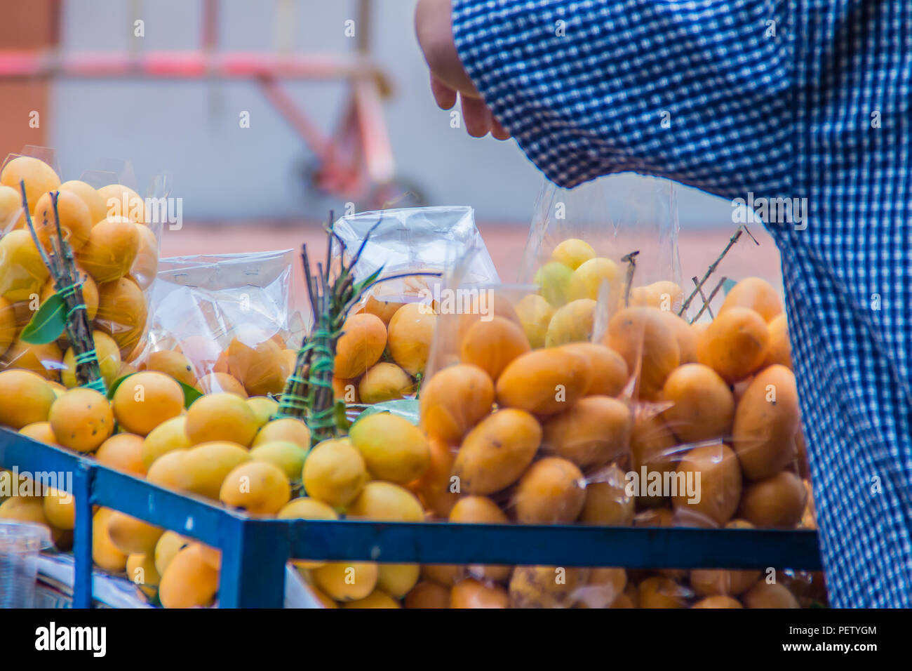Plango fruit or Marian Plum, famous tropical fruit in Thailand for sale ...