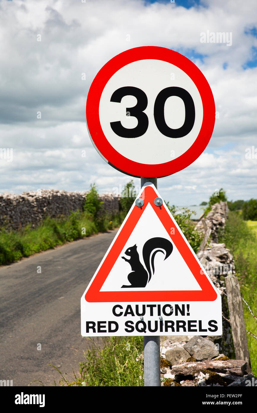 UK, Cumbria, Eden Valley, Nateby Caution Red Squirrels road warning ...