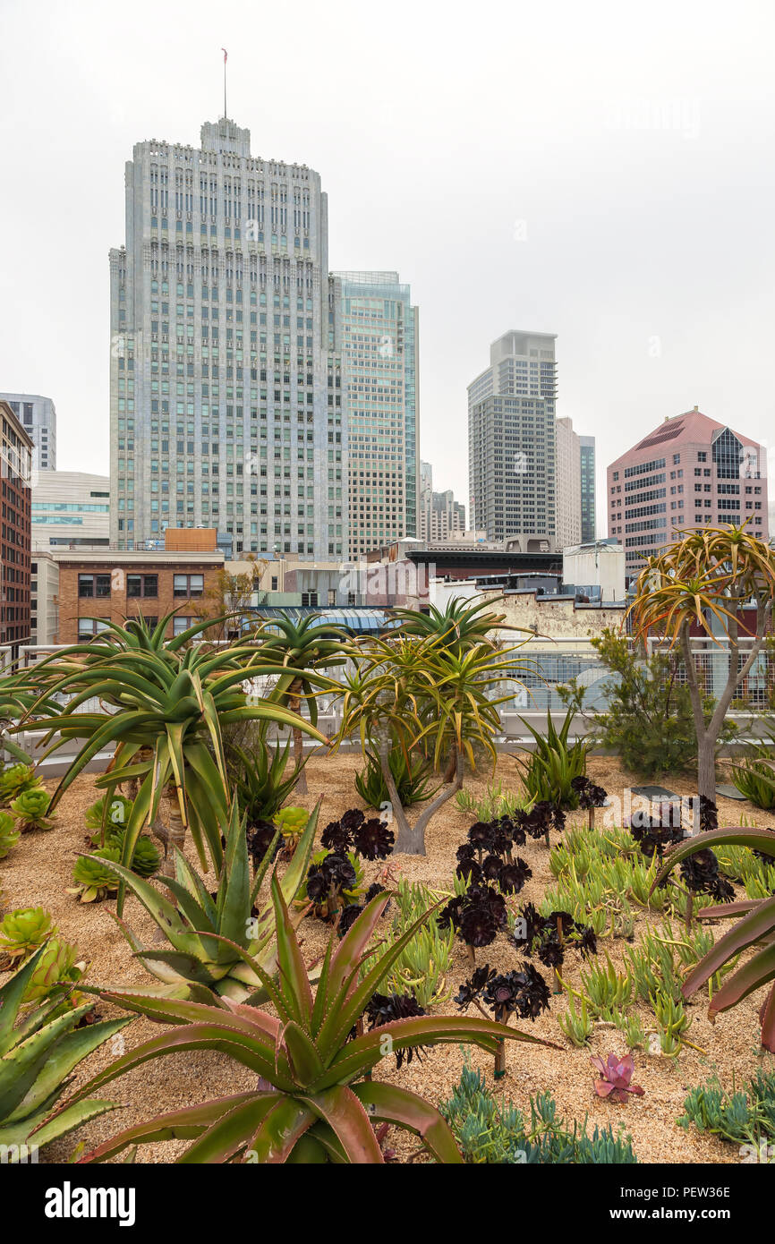 High rise building rooftop hi-res stock photography and images - Alamy