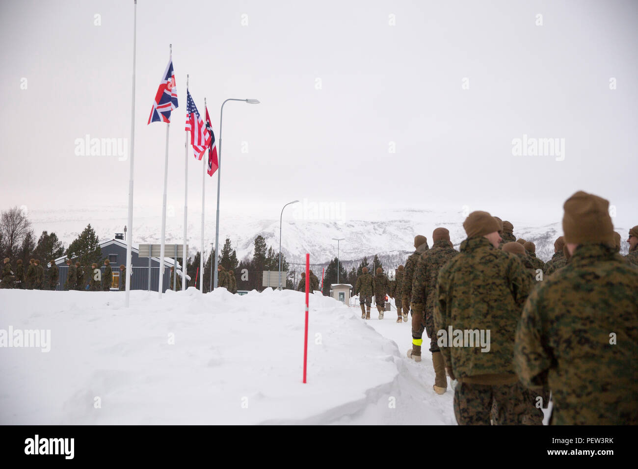 Royal marine commandos in arctic hi-res stock photography and images ...