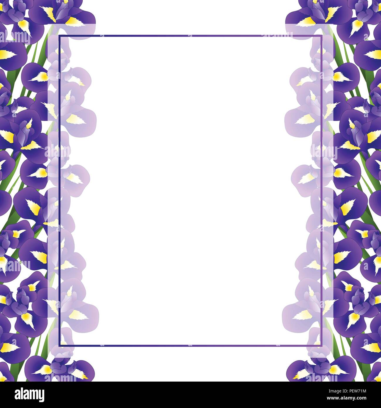 Iris Flower Banner Card Border on White Background. Vector Illustration ...