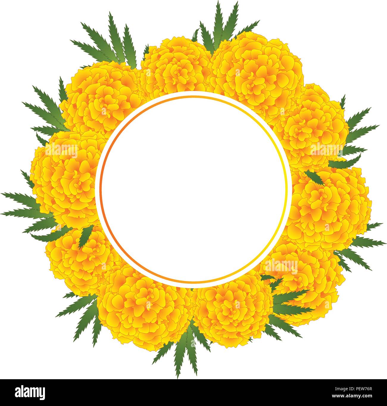 Marigold with gold flower Stock Vector Images - Alamy