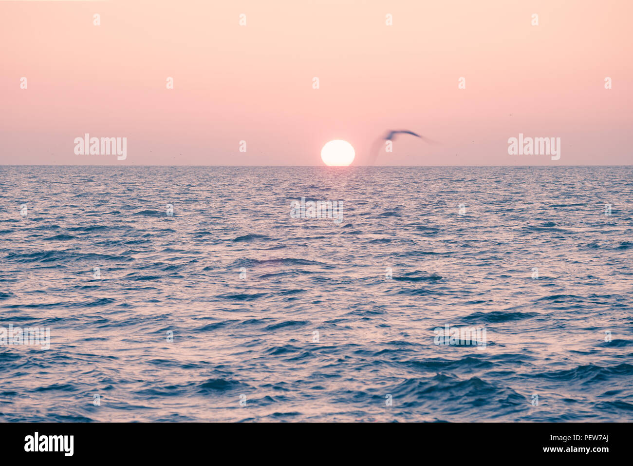 Sun rising over ocean horizon, Florida, USA Stock Photo - Alamy