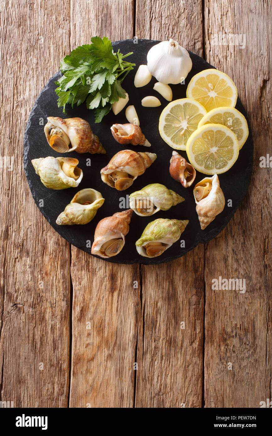 Common whelk shell hi-res stock photography and images - Alamy