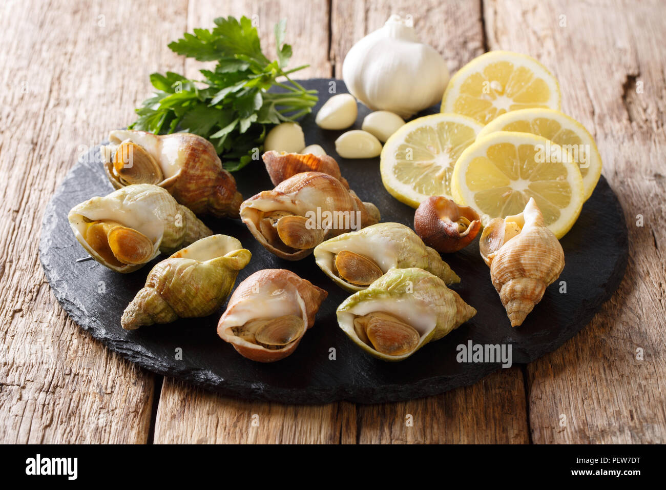 Snails sea food hi-res stock photography and images - Alamy