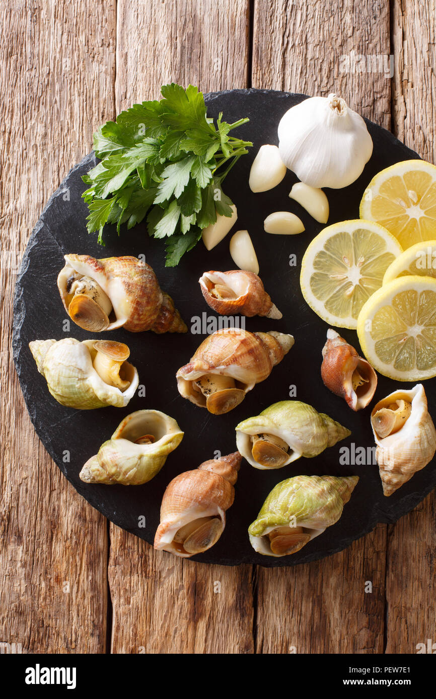raw edible sea snails, whelks close-up and lemon, parsley, garlic on a ...
