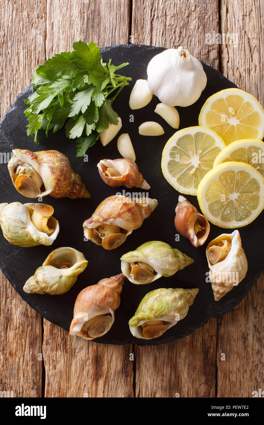 Fresh raw shellfish whelk, sea snails bulot close-up and lemon, parsley ...