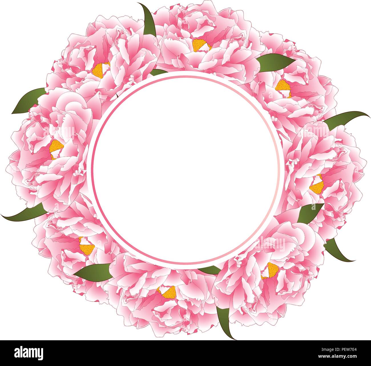 Pink Peony Flower Banner Wreath isolated on White Background. Vector ...