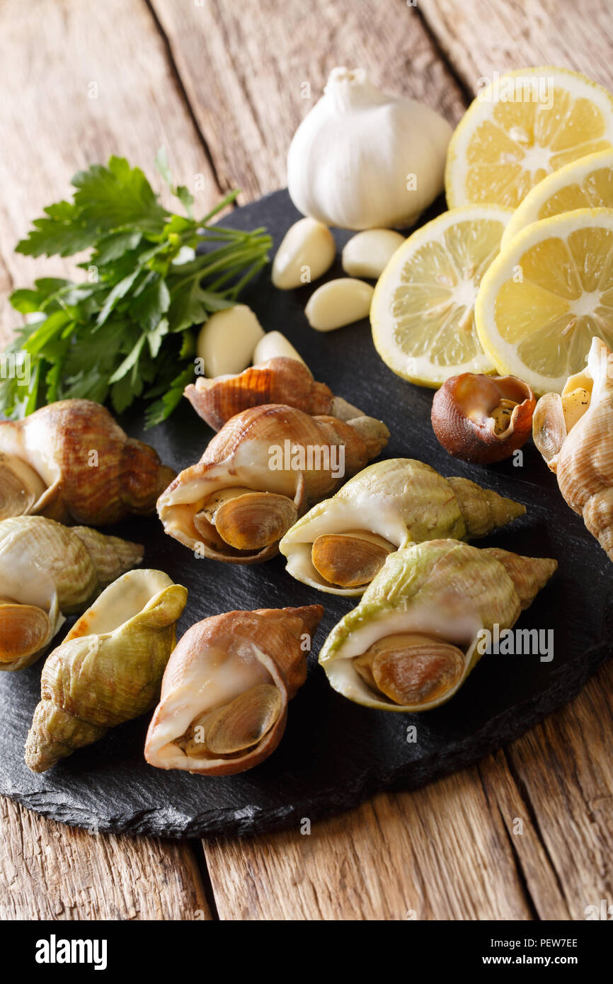 French cuisine: raw marine snails, whelk close-up and ingredients on a ...