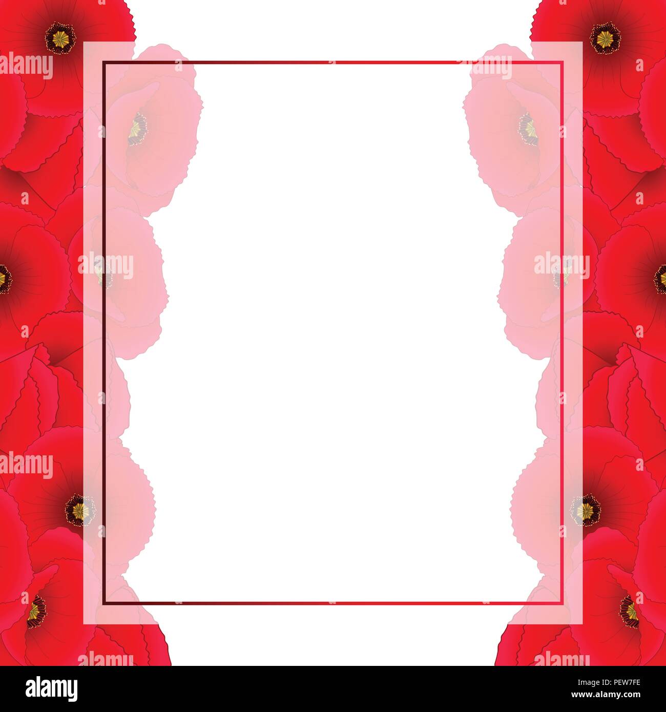 Papaver rhoeas Banner Card Border or common poppy,corn poppy,corn rose ...