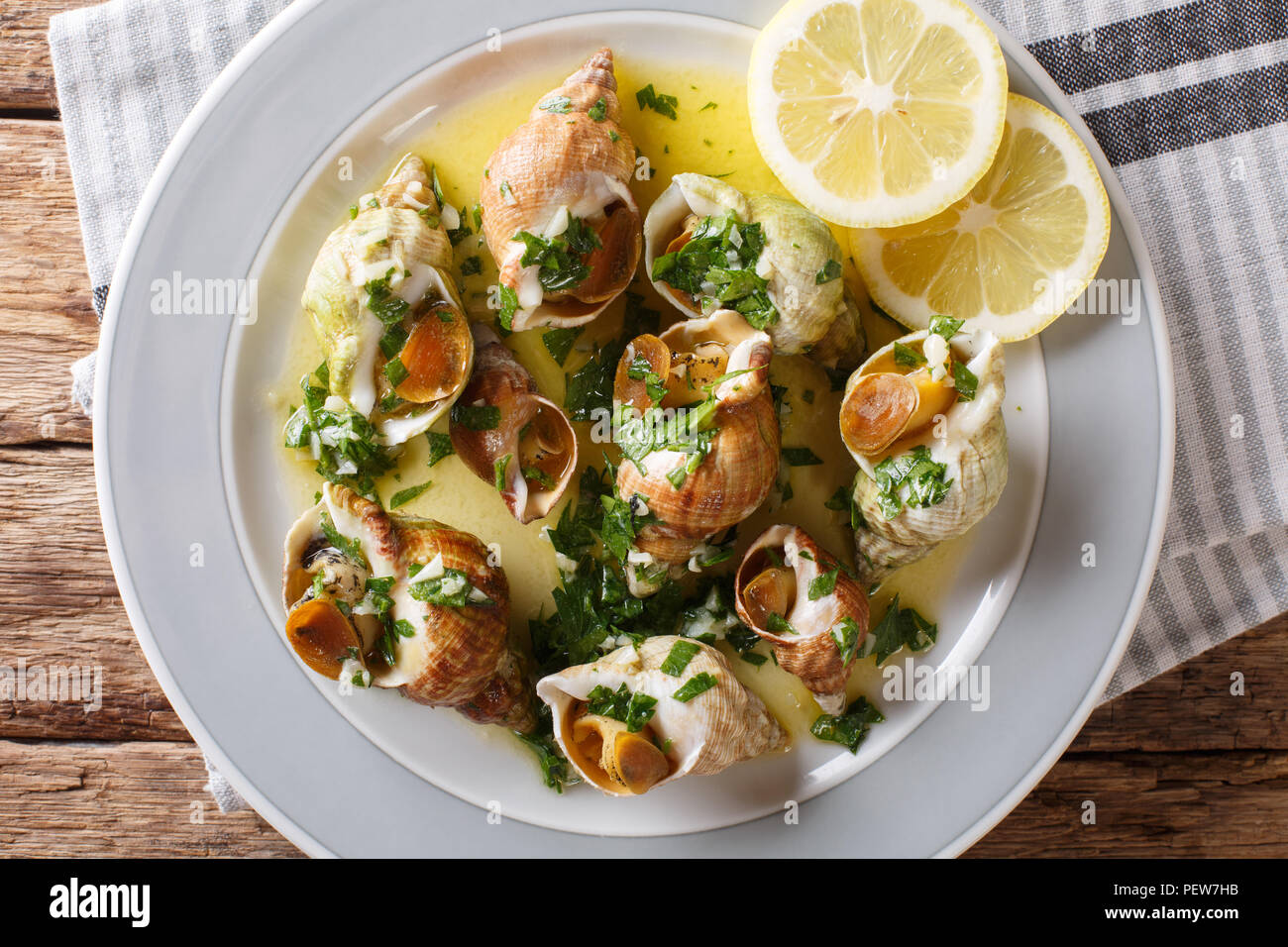 French seafood: cooked whelk with a sauce of butter, garlic and parsley ...
