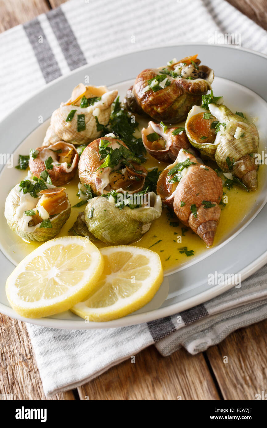 Seafood: whelk, sea snails bulot with a sauce of butter, garlic and ...