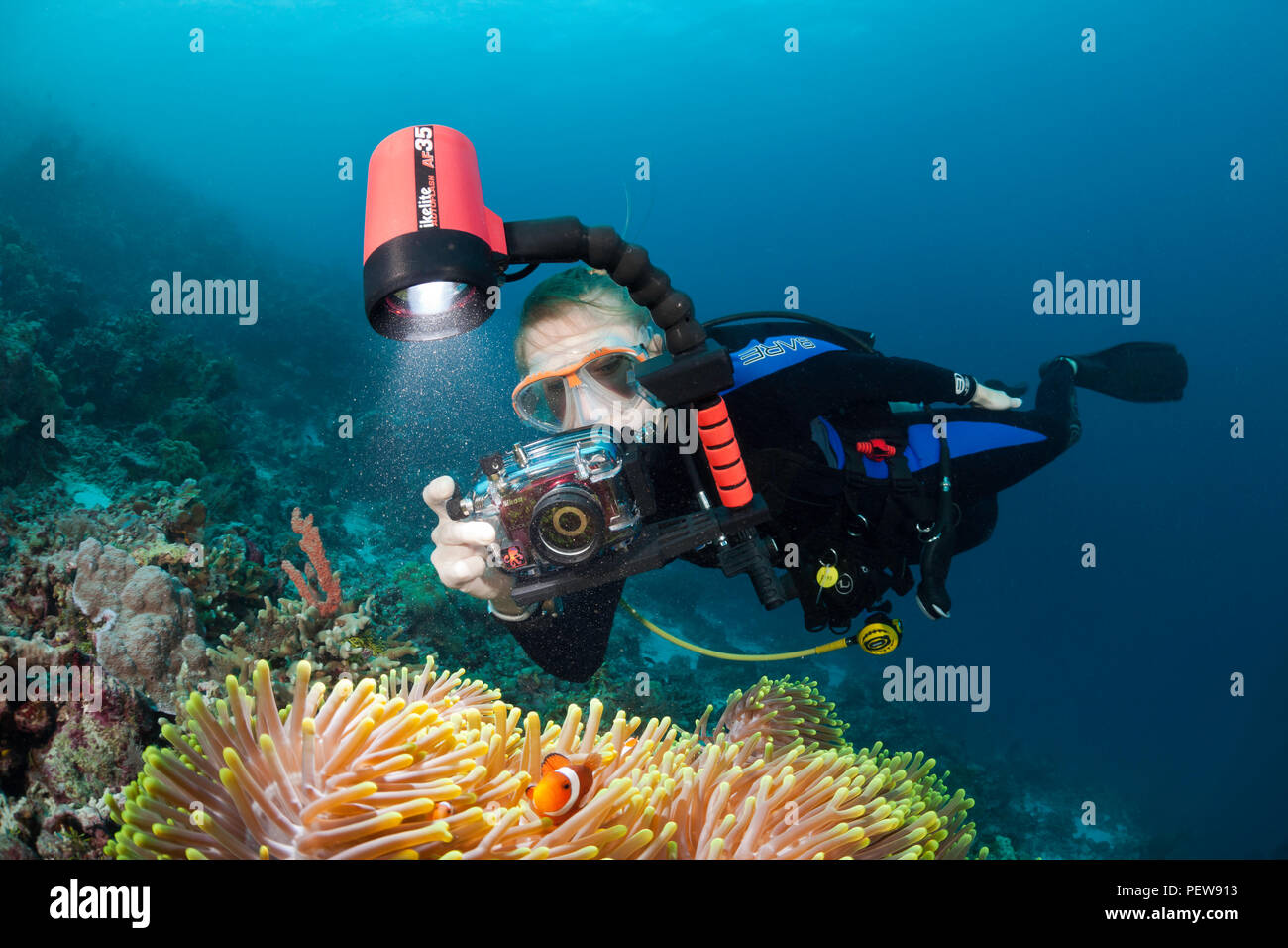 Wakatobi Stock Photos & Wakatobi Stock Images - Alamy