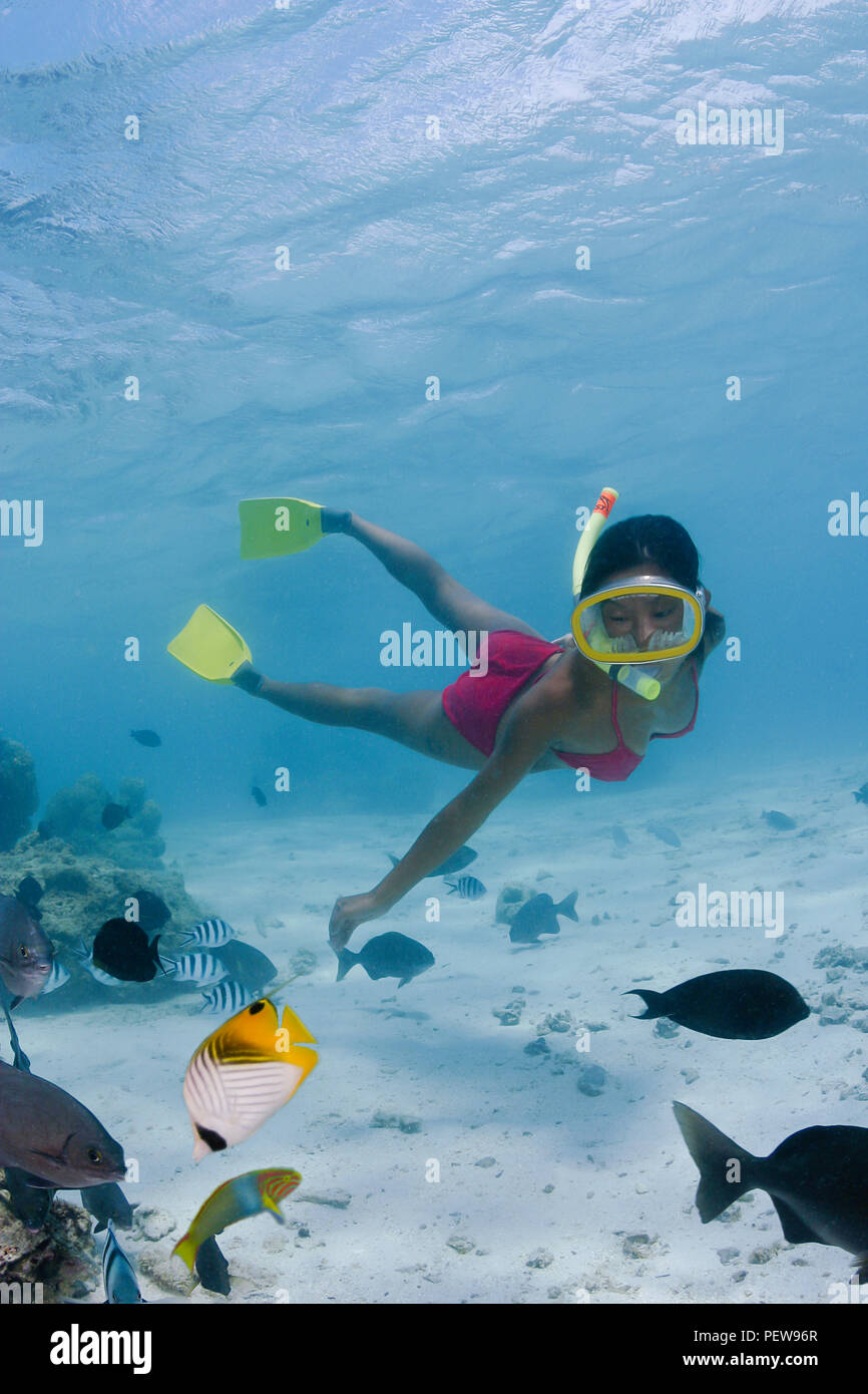 Cook islands fish hi-res stock photography and images - Alamy