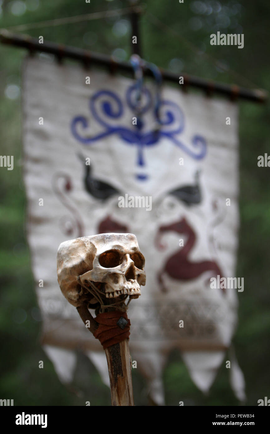 celtic skull and ensign Stock Photo - Alamy