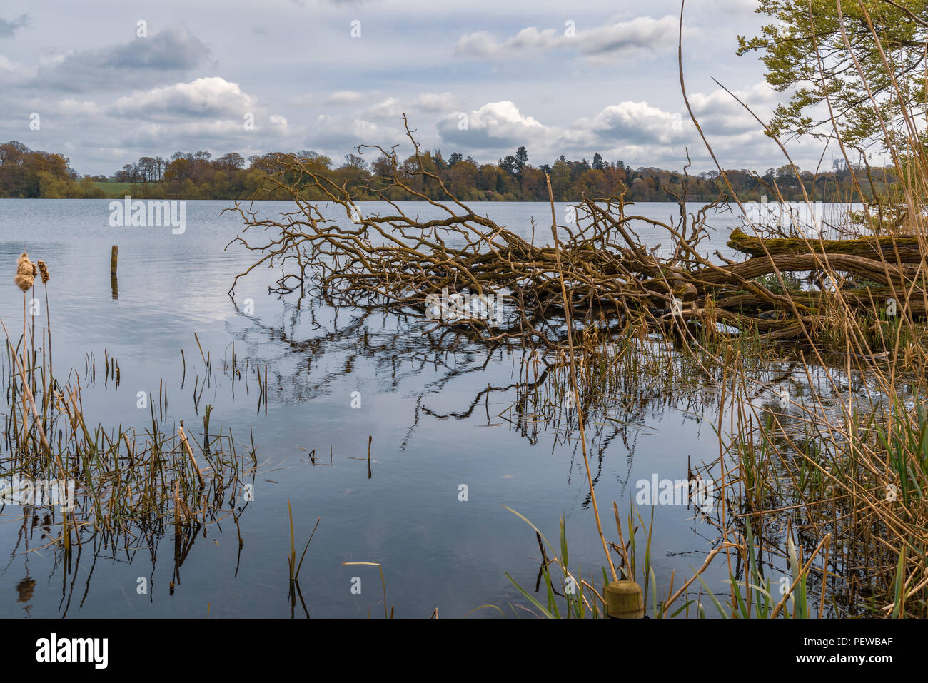 Ellesmere mere shropshire hi-res stock photography and images - Alamy