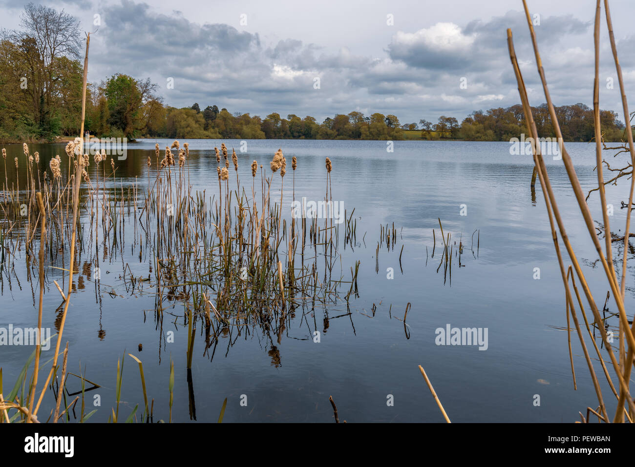 Lake Ellesmere High Resolution Stock Photography and Images - Alamy