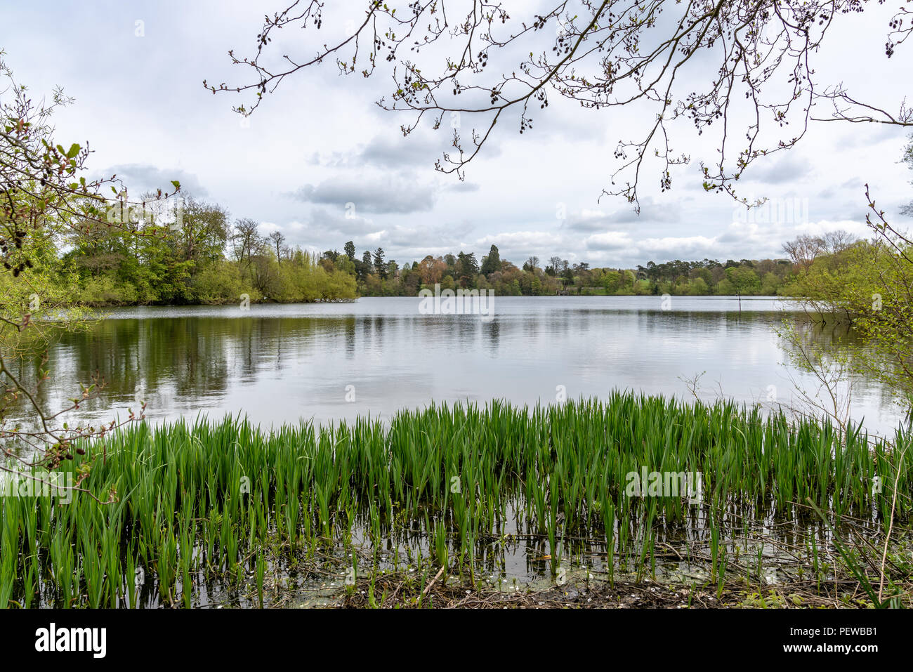 View over the Mere, near Ellesmere, Shropshire, UK Stock Photo - Alamy
